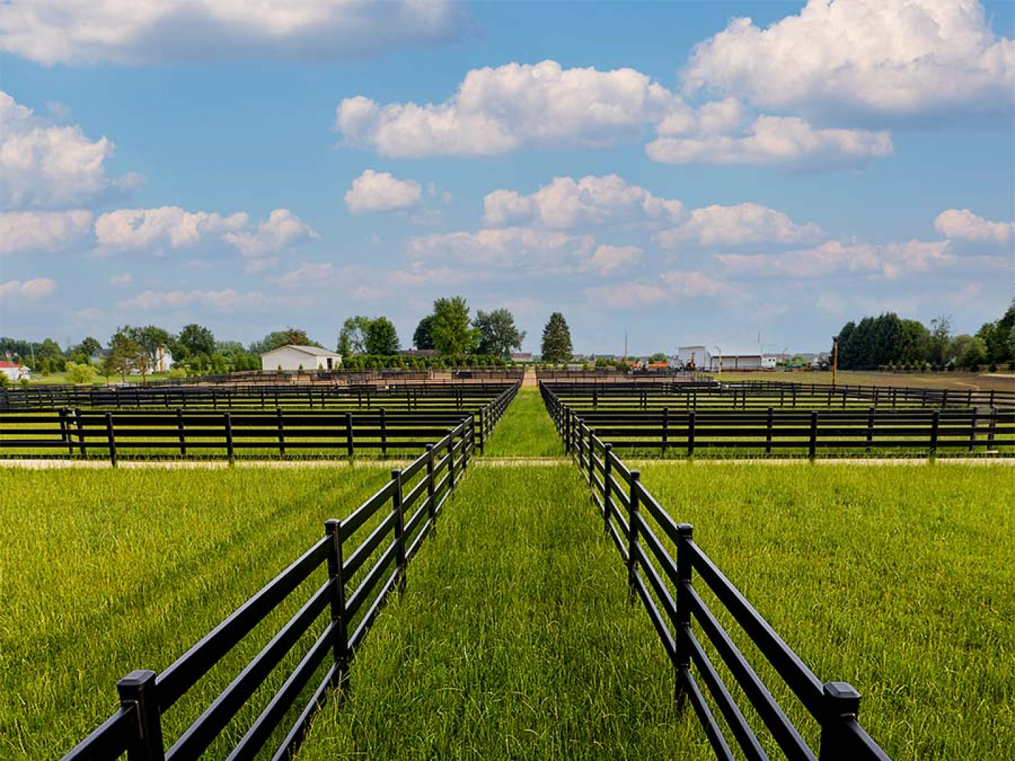 Steel Ranch Fences | Right Now Fencing